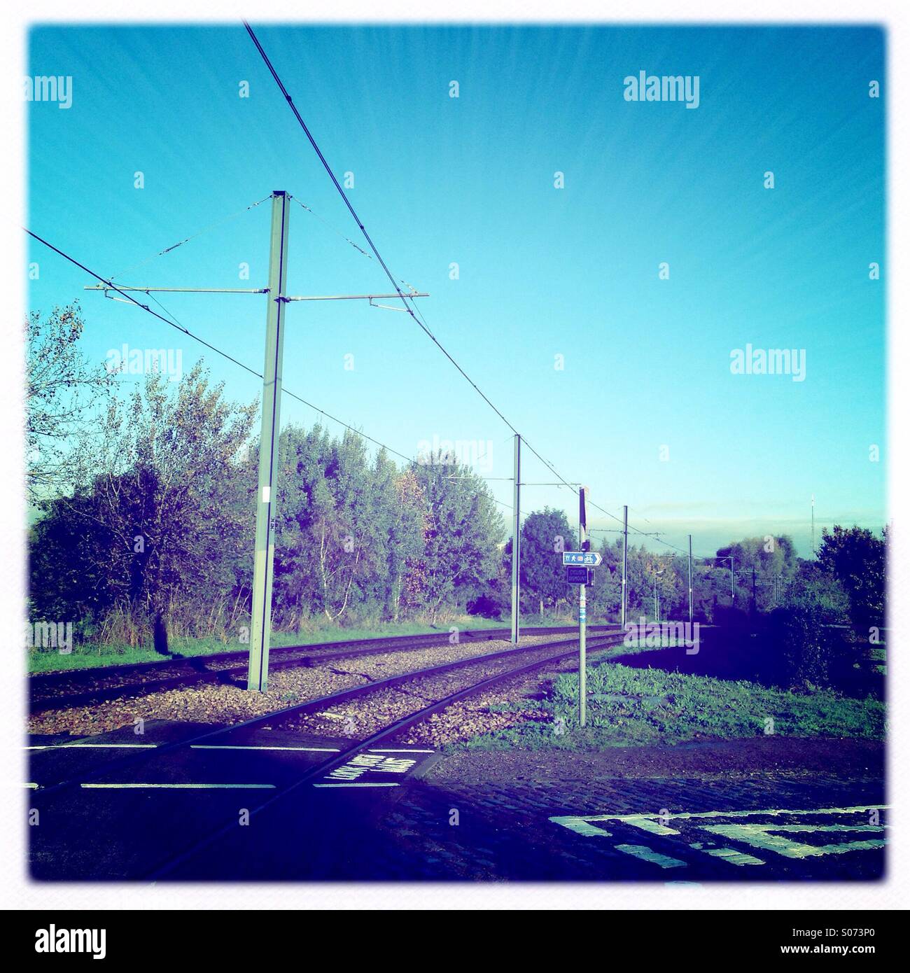 Tramway tram crossing road hi-res stock photography and images - Alamy