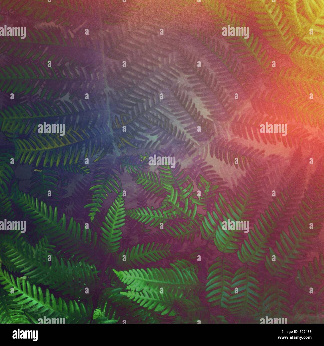 Color colorful colors hi-res stock photography and images - Alamy