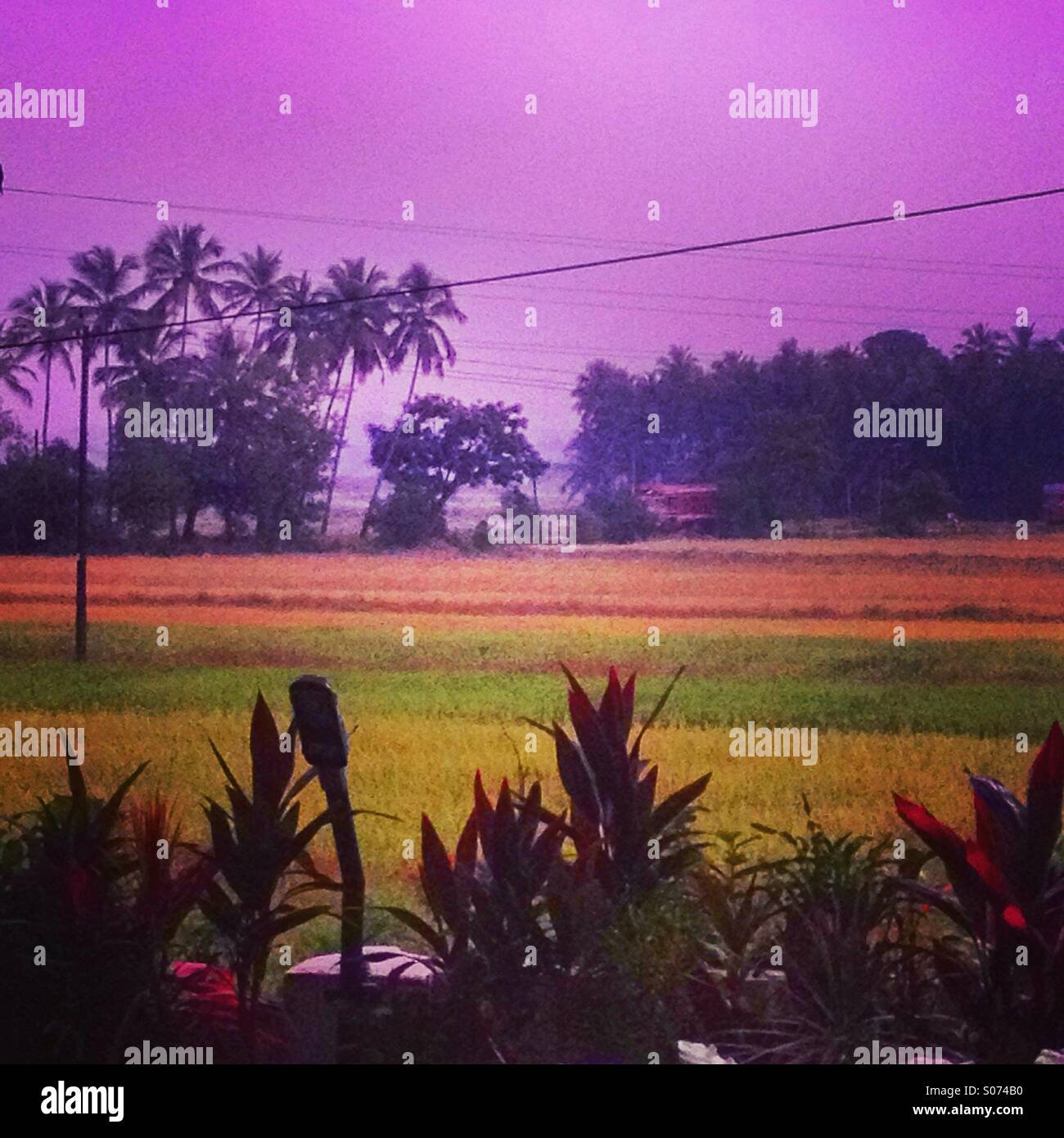 Goa House View High Resolution Stock Photography and Images - Alamy