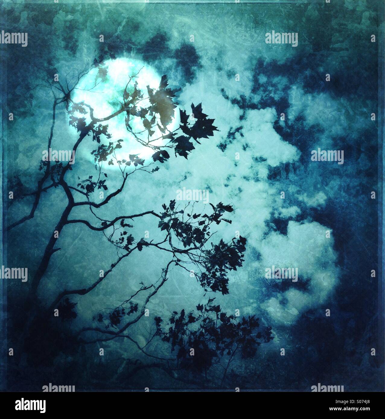 Moon moonlit moonlight hi-res stock photography and images - Alamy