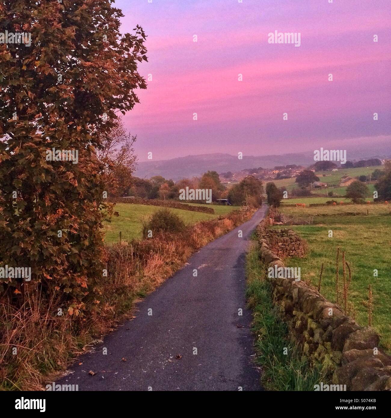 Honley hi-res stock photography and images - Alamy
