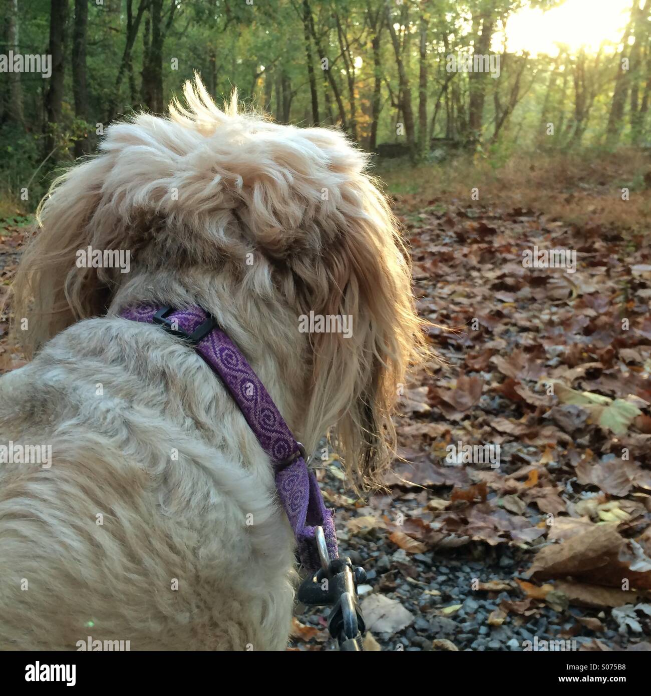 Buddy run hi-res stock photography and images - Alamy