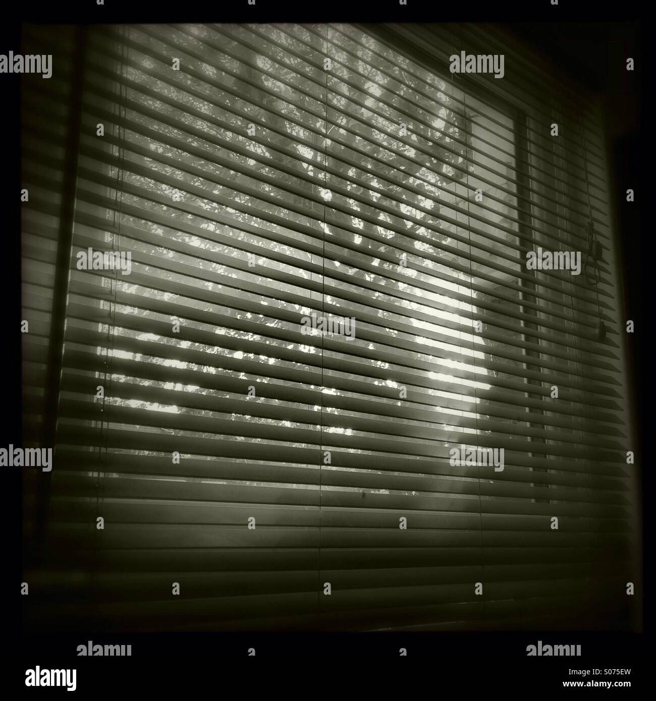 Shine through window hi-res stock photography and images - Alamy