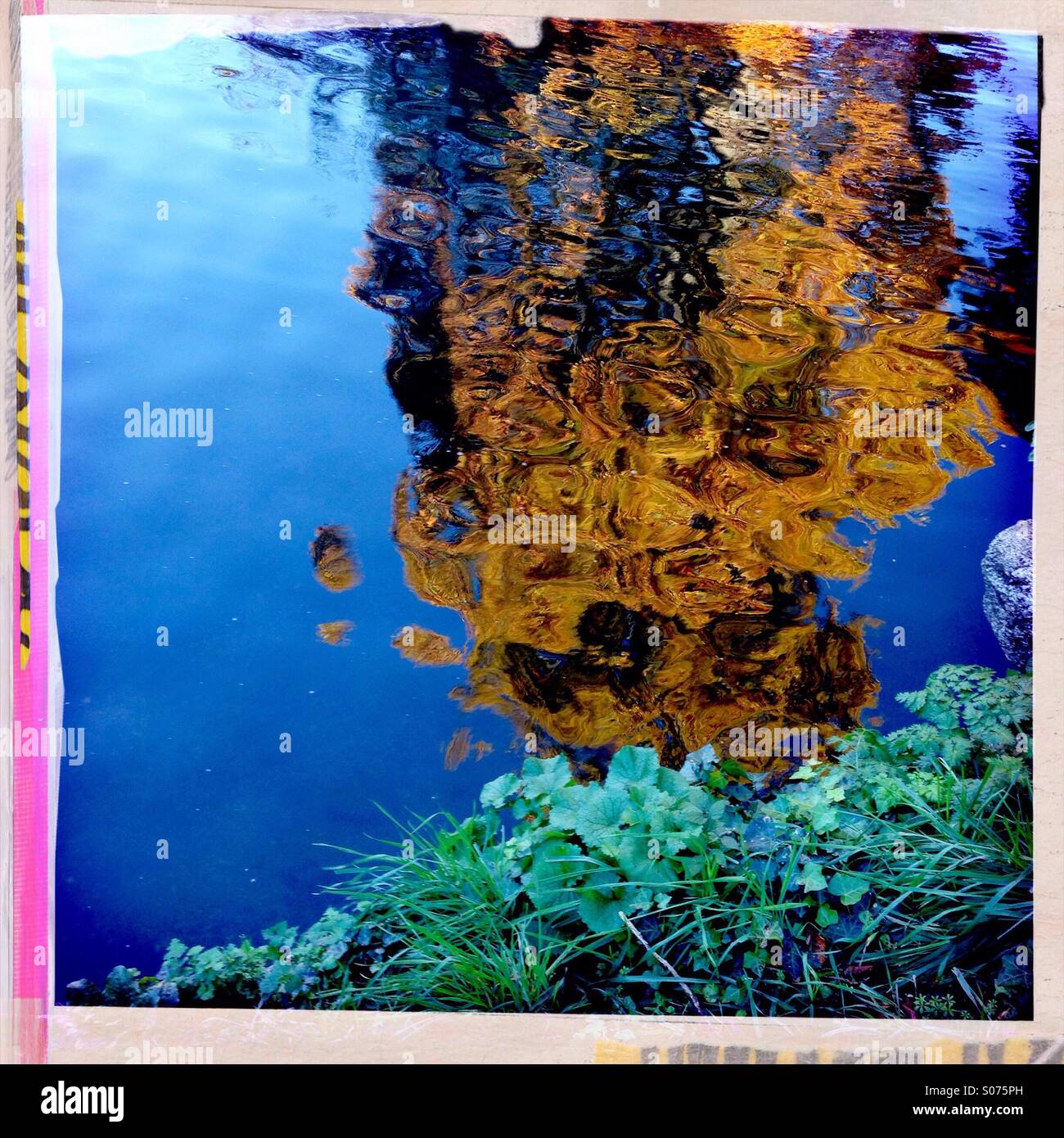 Tree reflect in water hi-res stock photography and images - Alamy