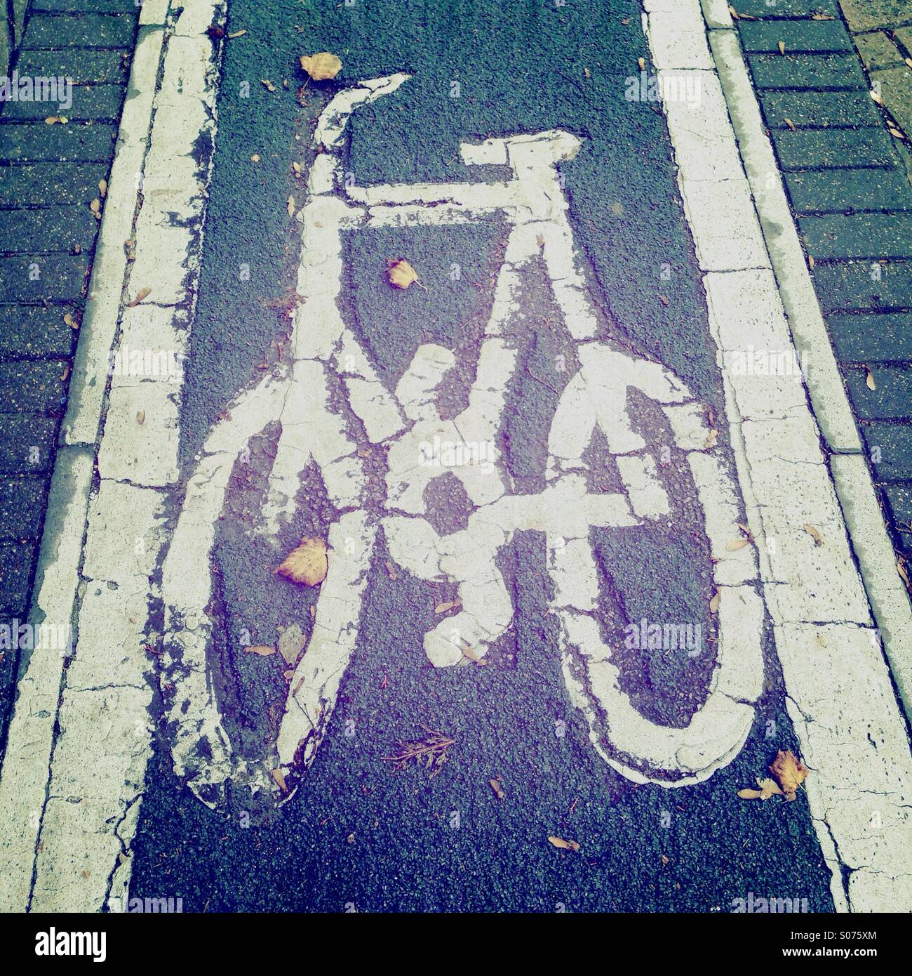 Cycle pathway hi-res stock photography and images - Alamy