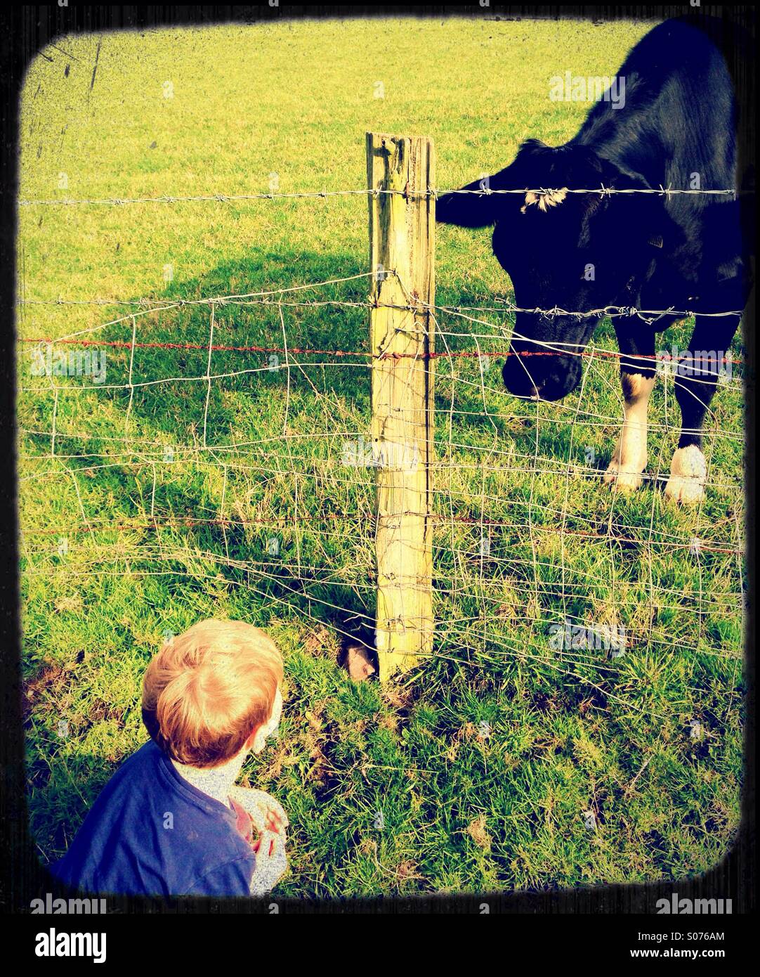 Cow boy hi-res stock photography and images - Alamy