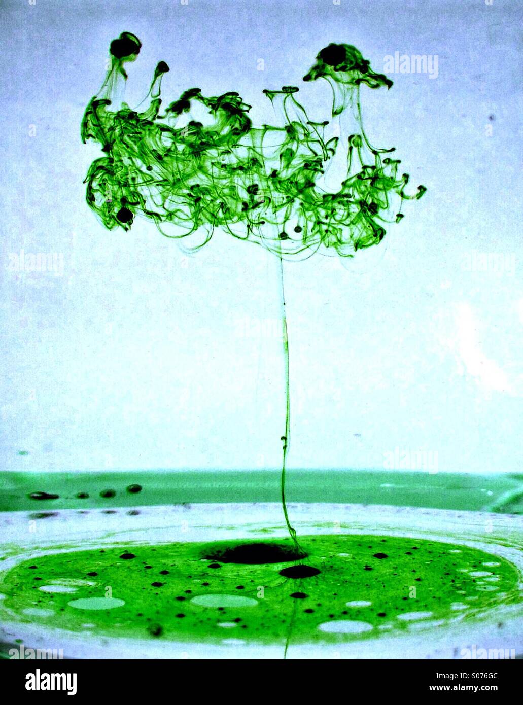 Oil and water mixing to look like a tree Stock Photo - Alamy