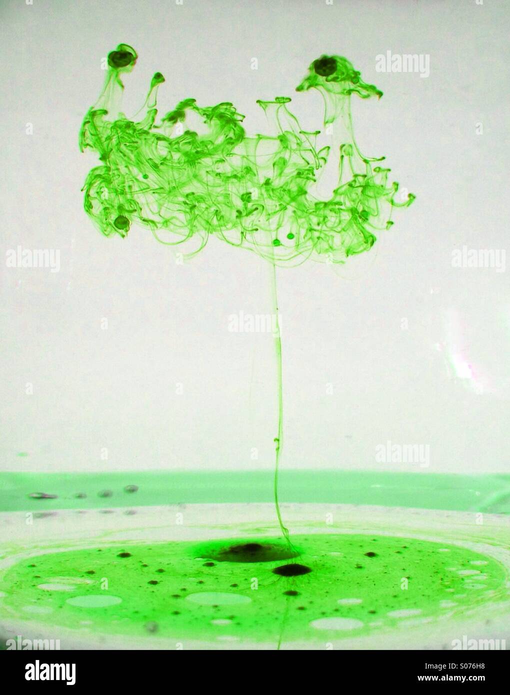 Oil mixing with water forming a tree shape Stock Photo - Alamy