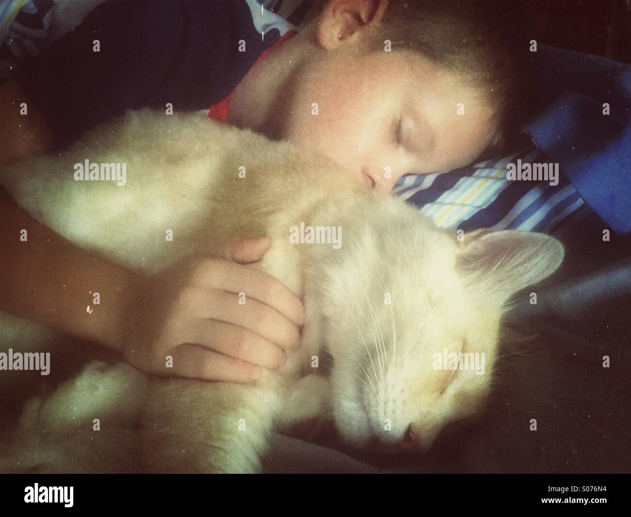 Cat And Boy Asleep High Resolution Stock Photography and Images - Alamy