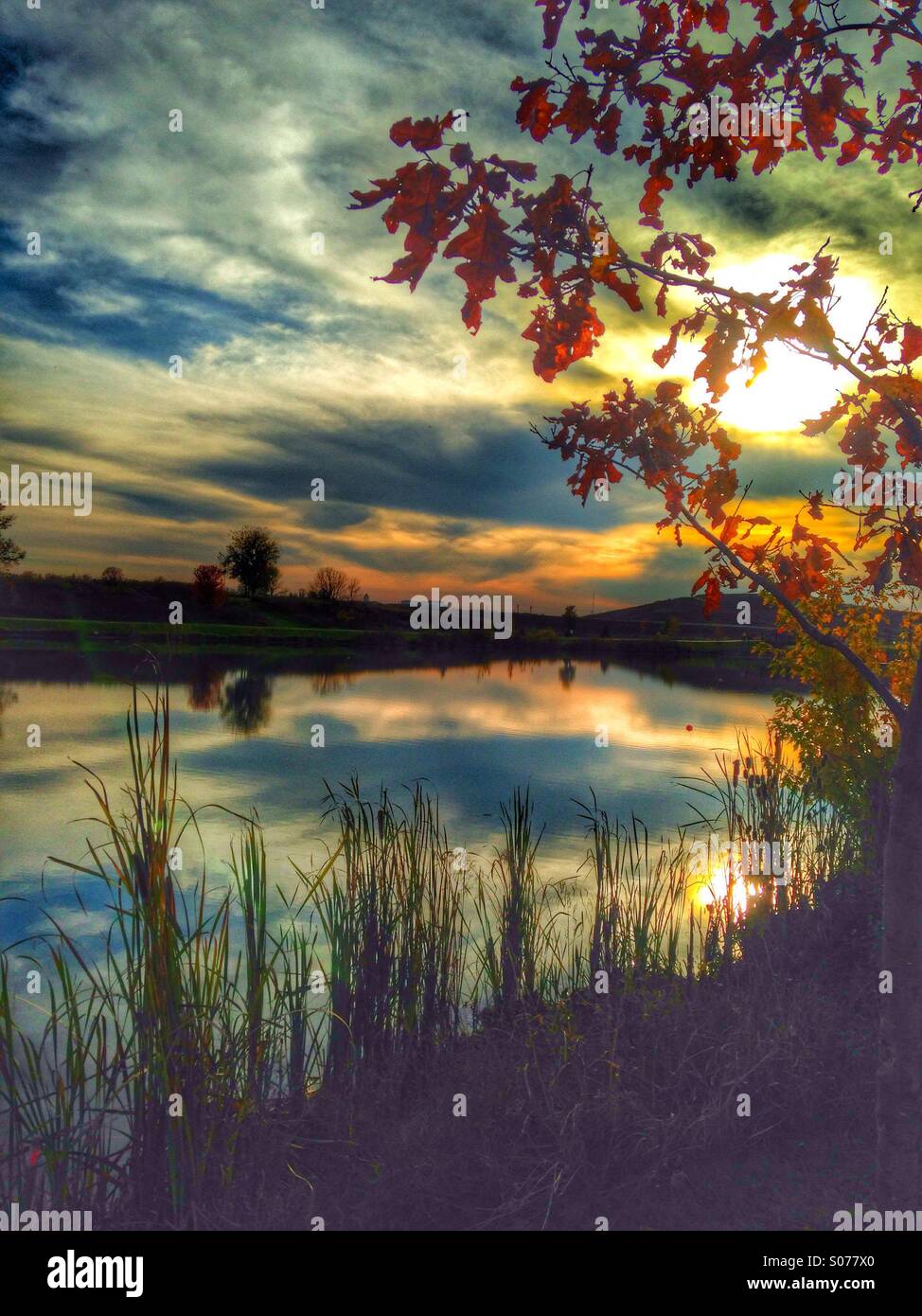 A fall tree over a lake Stock Photo - Alamy
