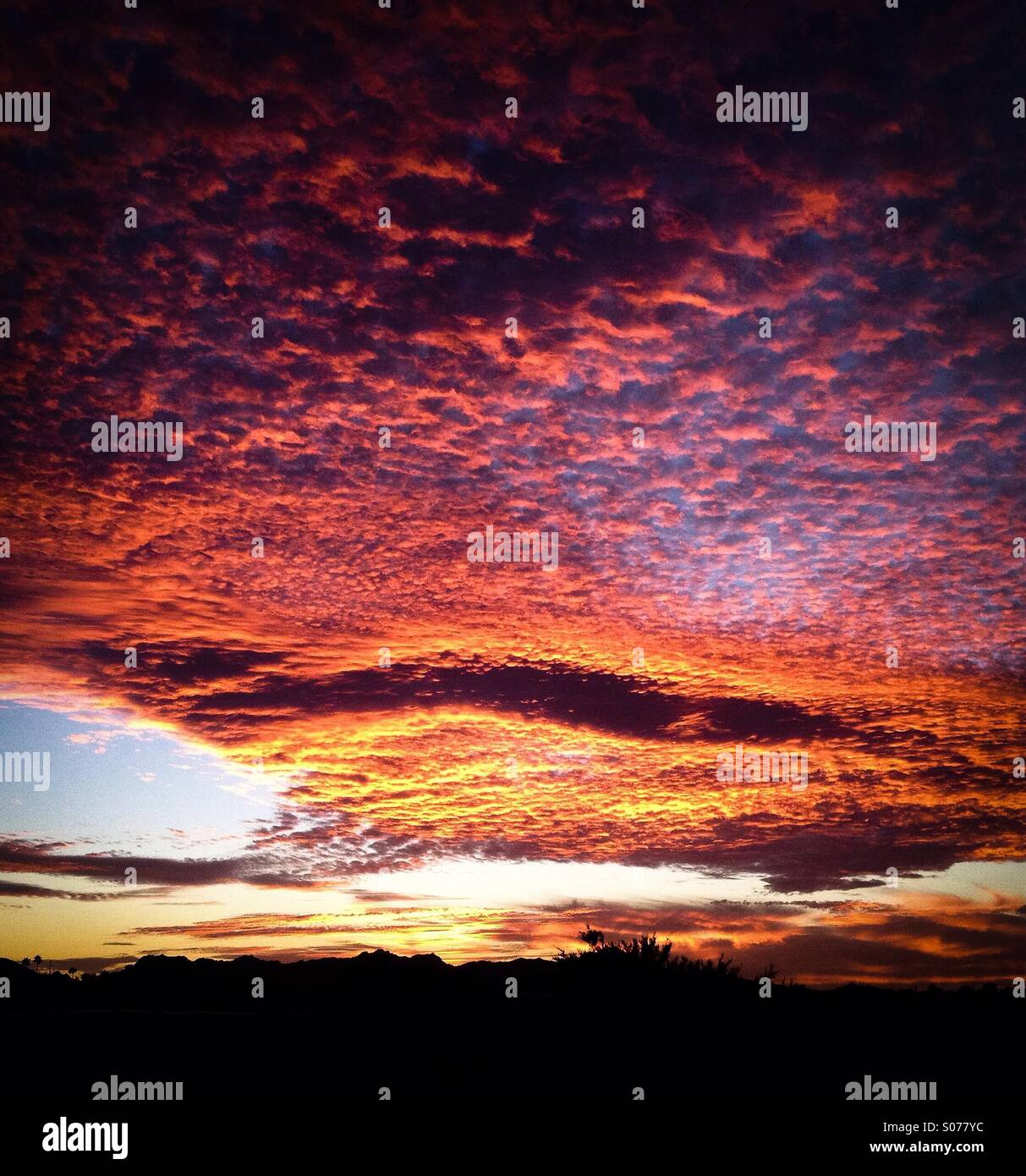 An Arizona sunset colors the sky, Sonoran Desert, Tucson, Arizona, USA ...