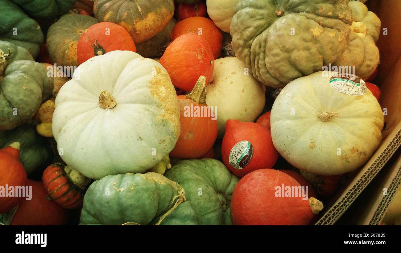 A pile of colorful Autumn gourds Stock Photo - Alamy