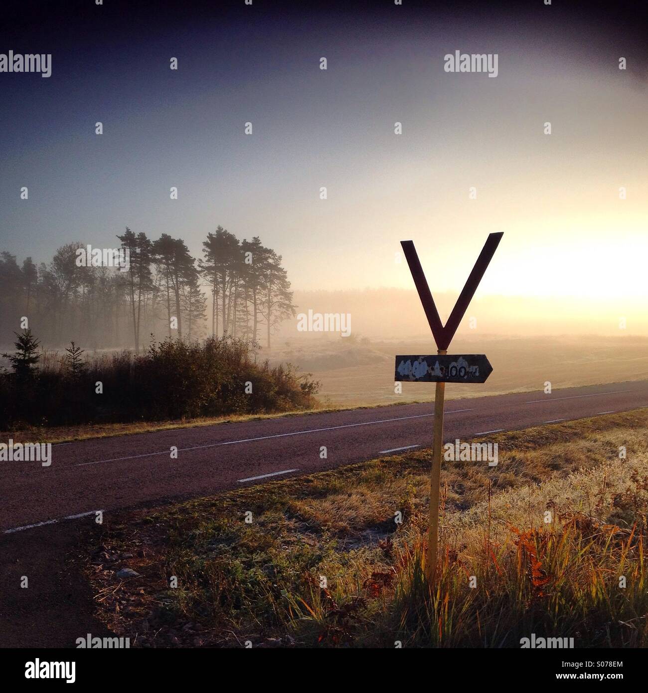 A broken roadsign in the shape of a V on an autumn fall road in mist in ...