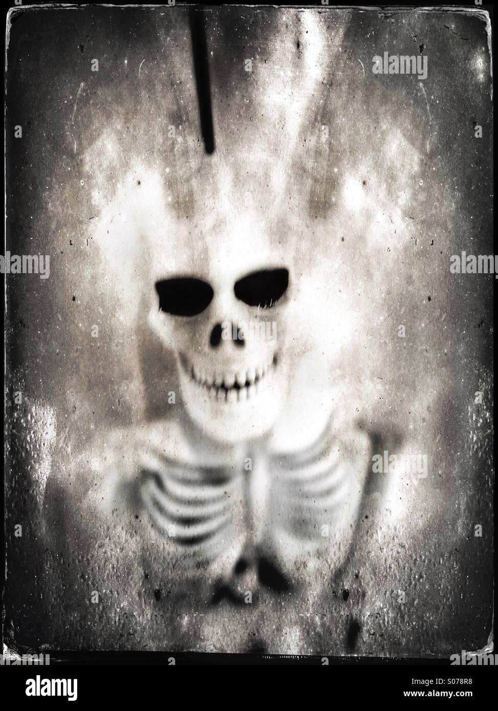 Scary skeletons hi-res stock photography and images - Alamy