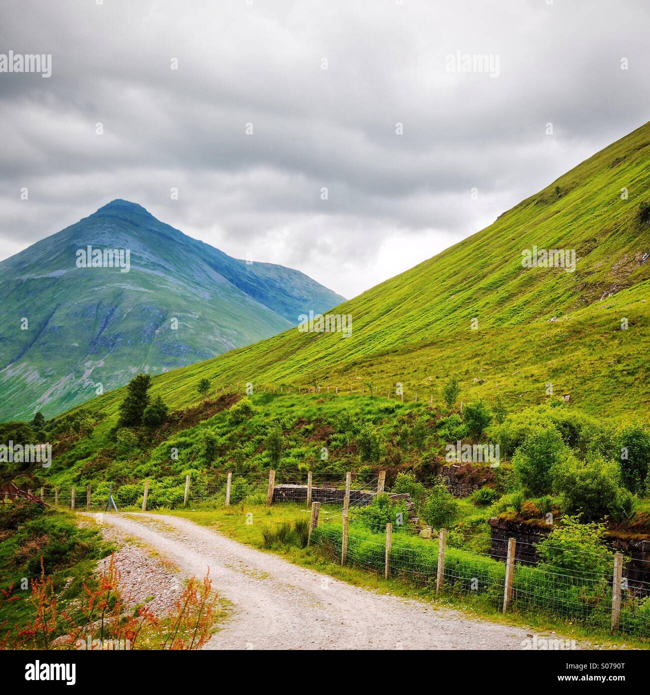 Landscape with Country road in the Highlands of Scotland Stock Photo ...
