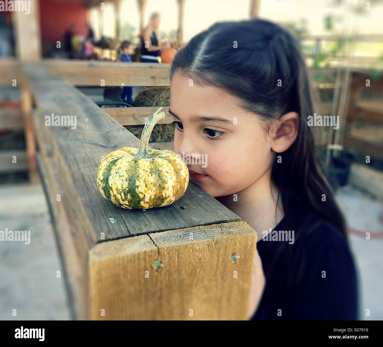 Staring Contest Stock Photos & Staring Contest Stock Images - Alamy