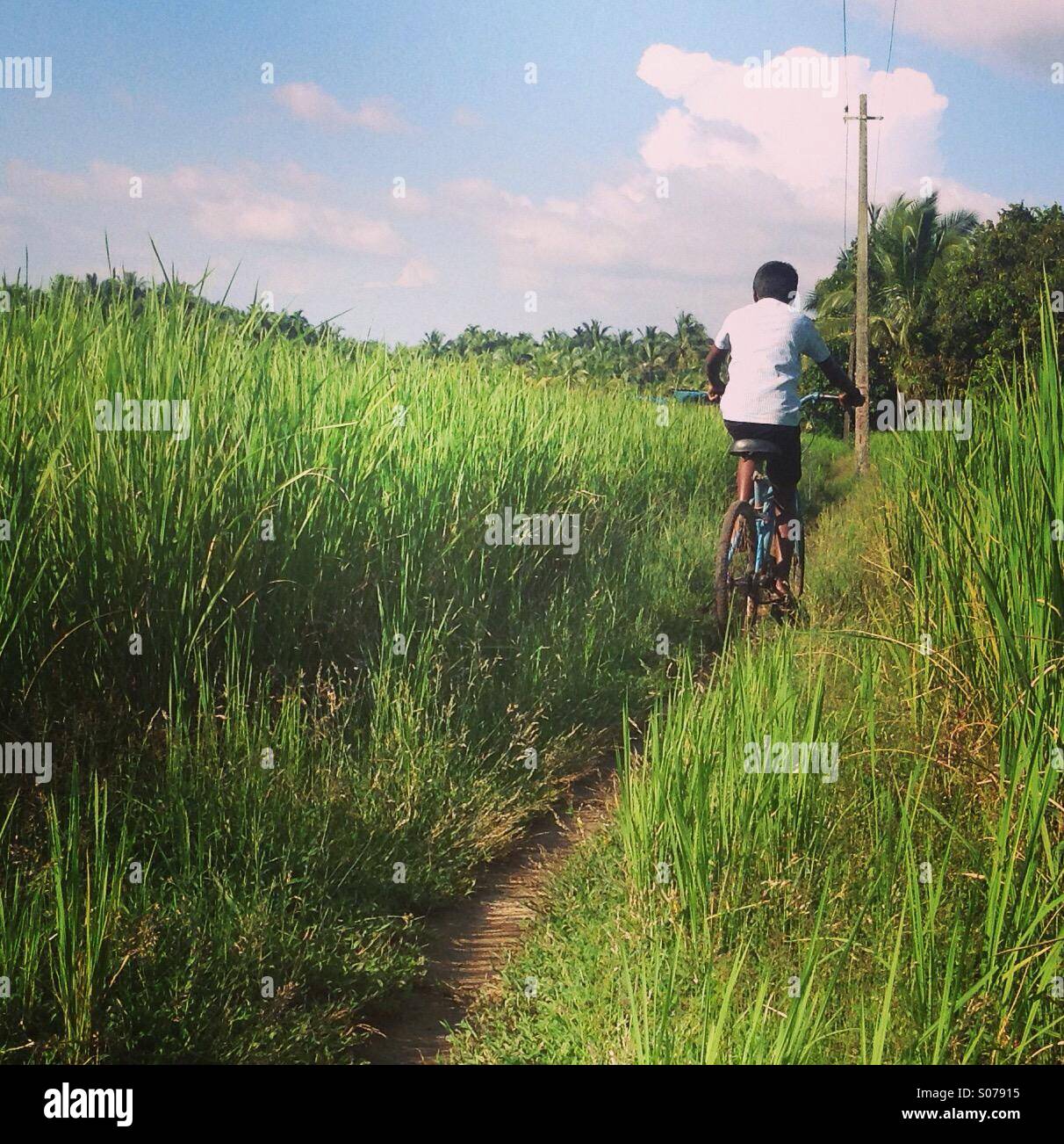 Rural life in kerala hi-res stock photography and images - Alamy