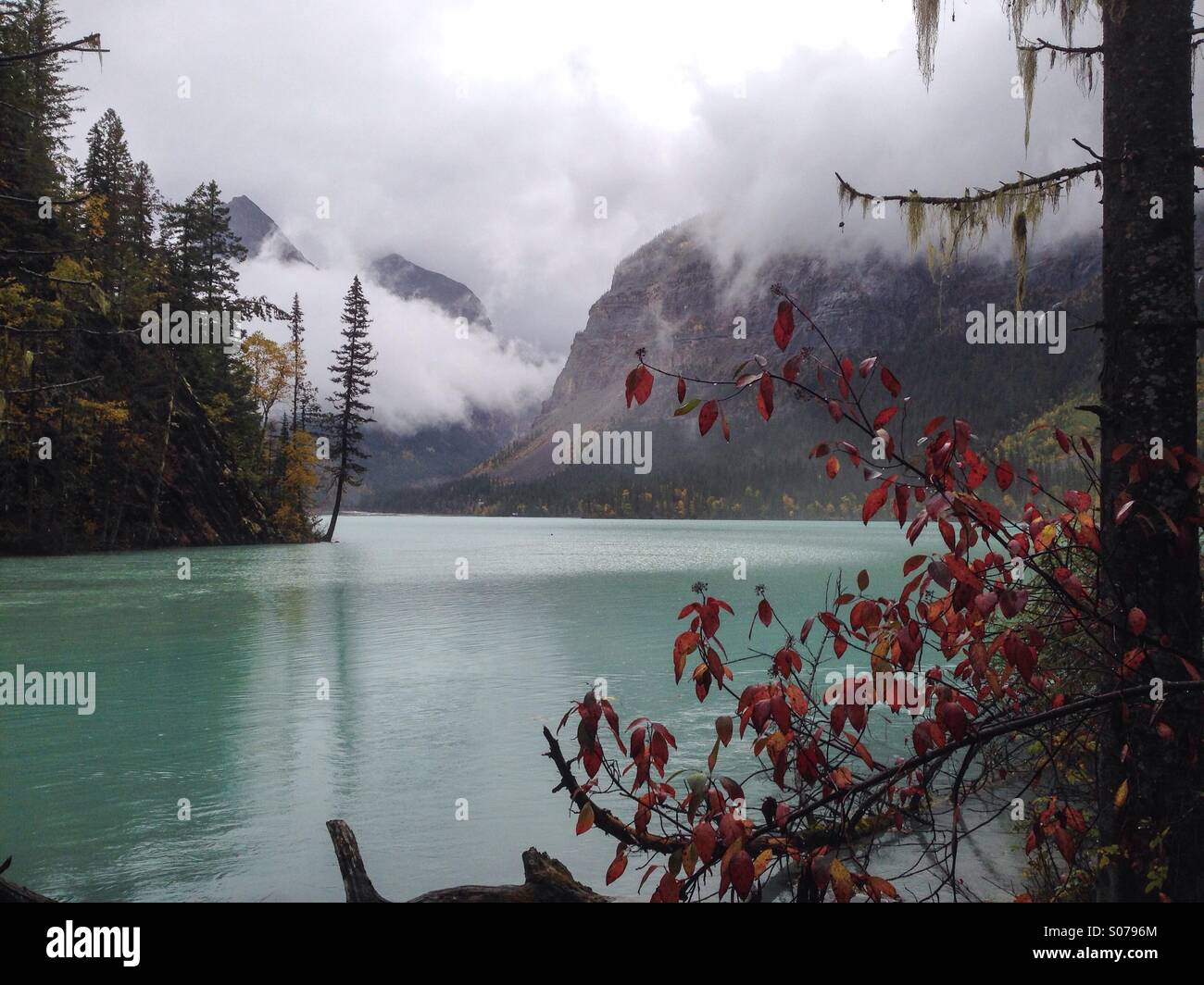 Kinney Lake High Resolution Stock Photography and Images - Alamy