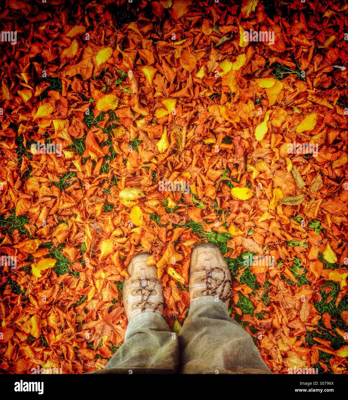 Feet standing in fallen autumn leaves Stock Photo - Alamy