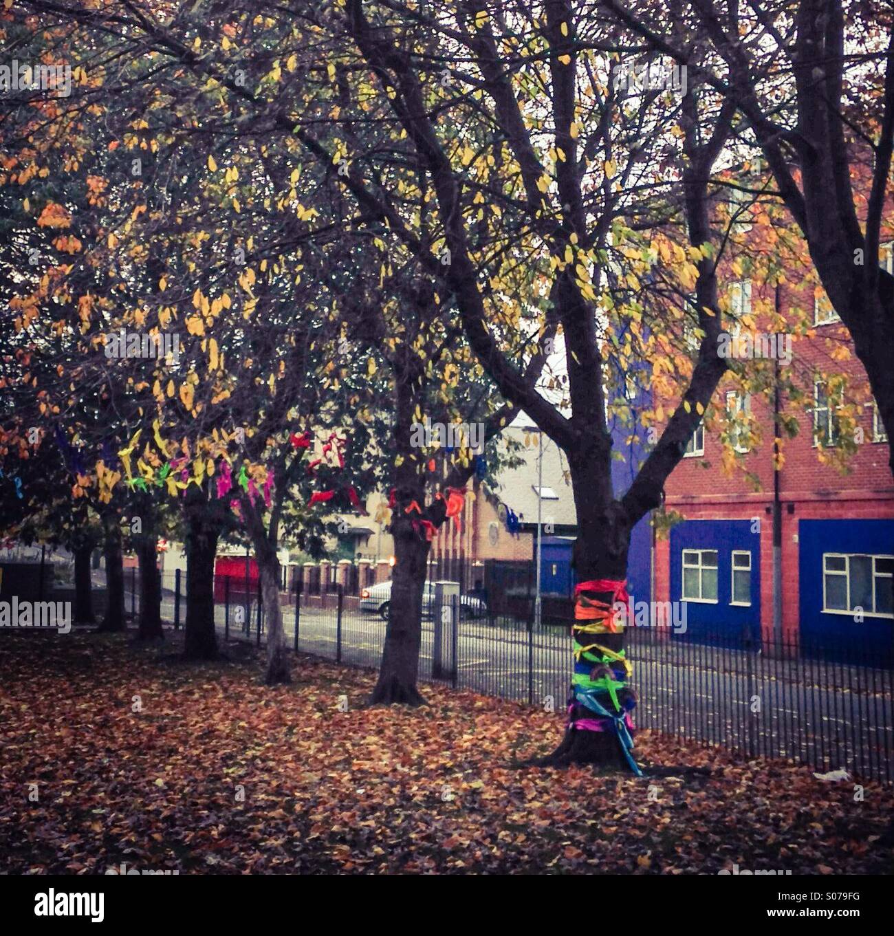 Rainbow tree hi-res stock photography and images - Alamy