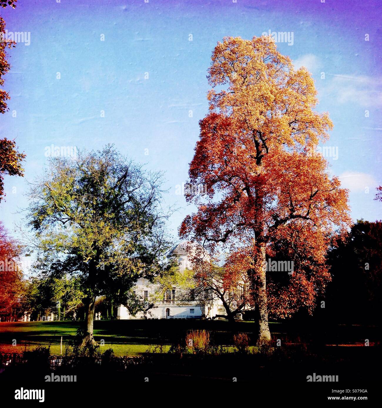 House surrounded by trees hi-res stock photography and images - Alamy