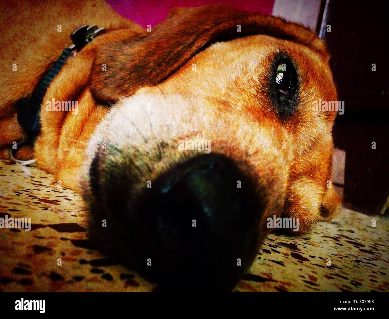 Sleepy eyes hi-res stock photography and images - Alamy