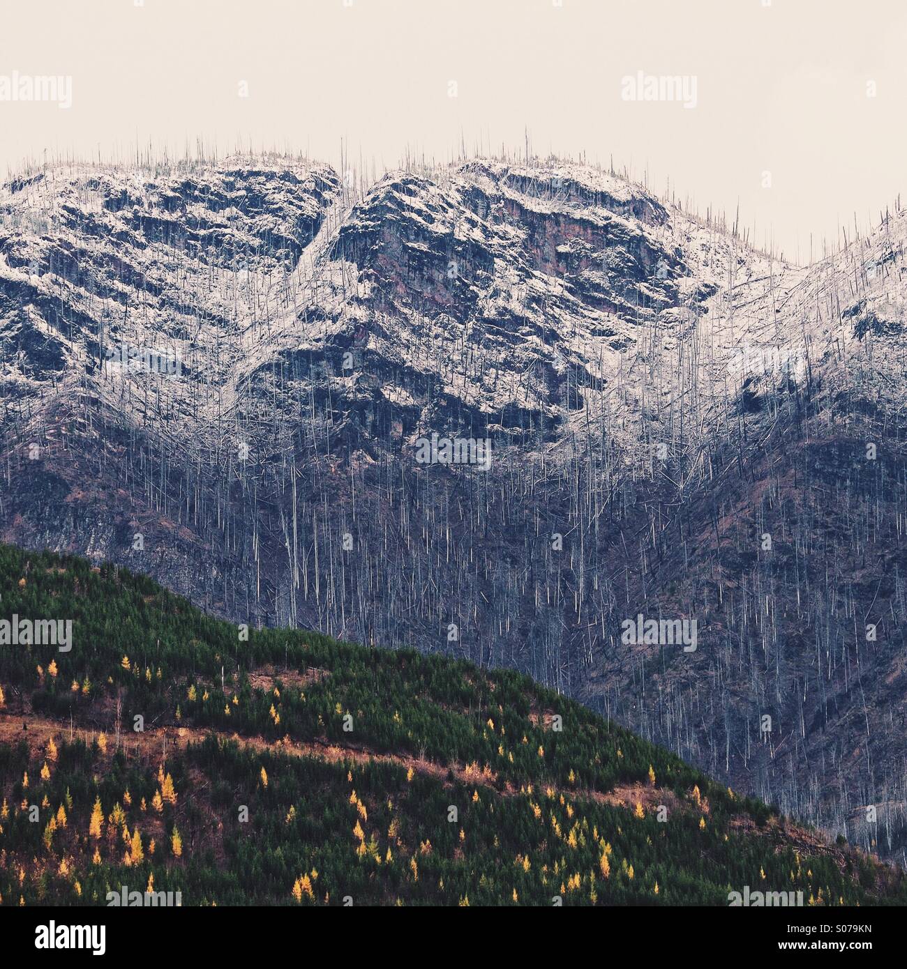 British first snowfall hi-res stock photography and images - Alamy