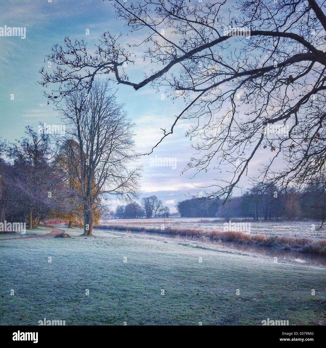 Show your teeth hi-res stock photography and images - Alamy