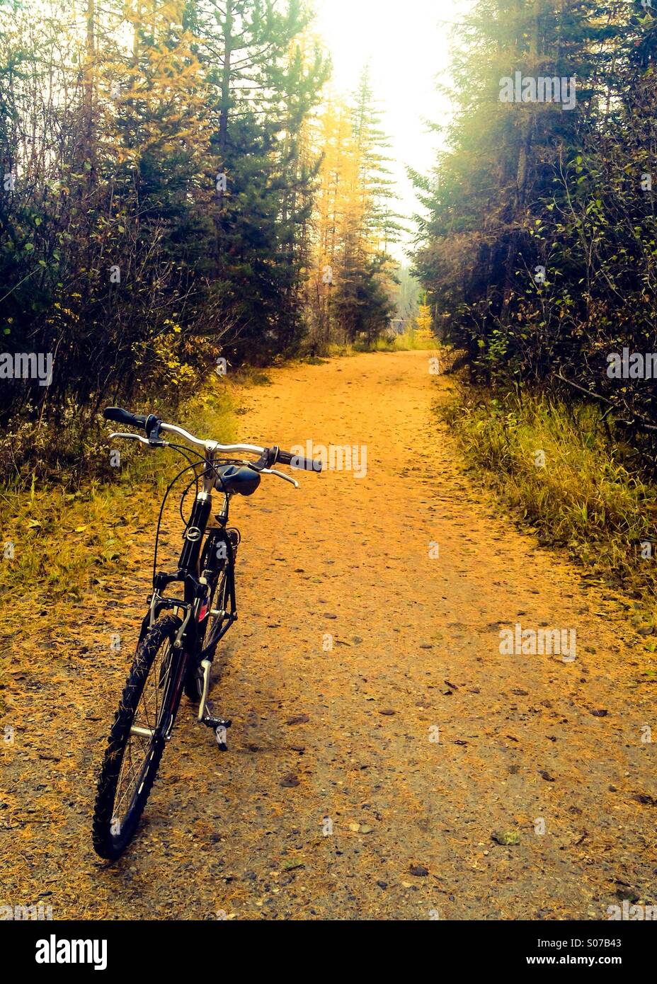 Bike on an autumn trail Stock Photo - Alamy