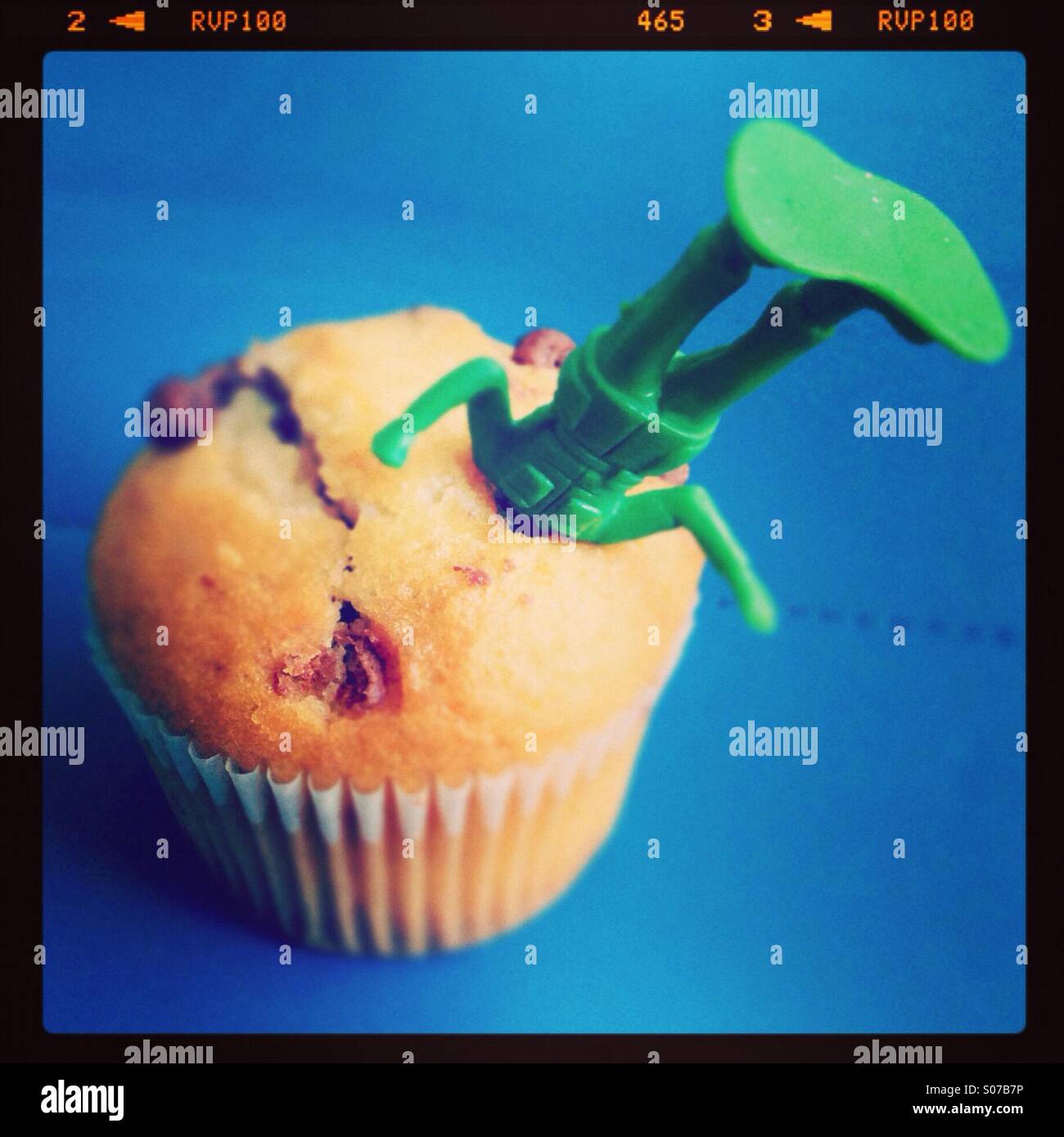 Muffin dive hi-res stock photography and images - Alamy