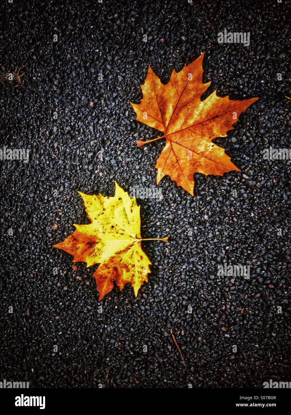 Overhead path hi-res stock photography and images - Alamy