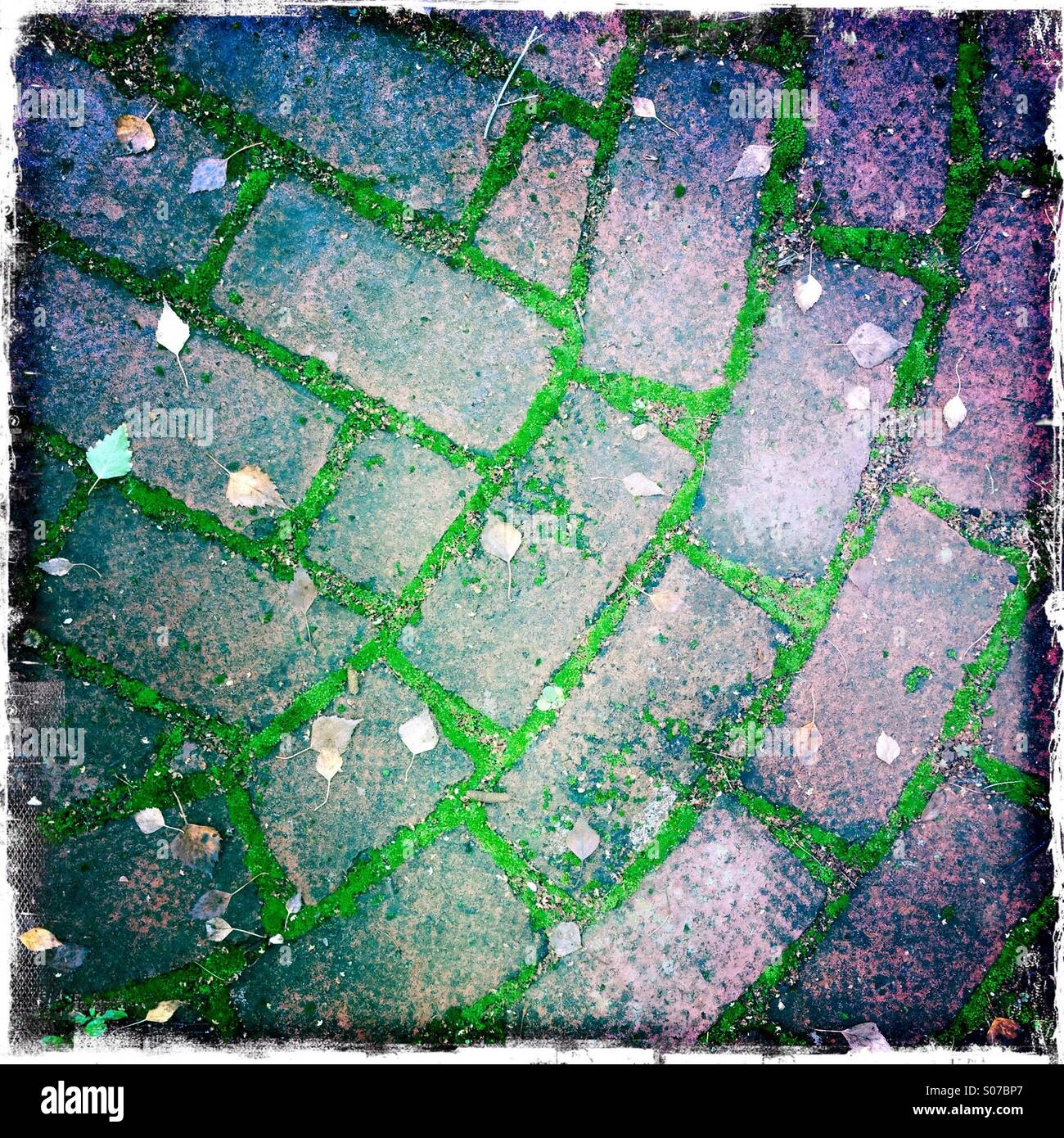 Brick Patio High Resolution Stock Photography and Images - Alamy