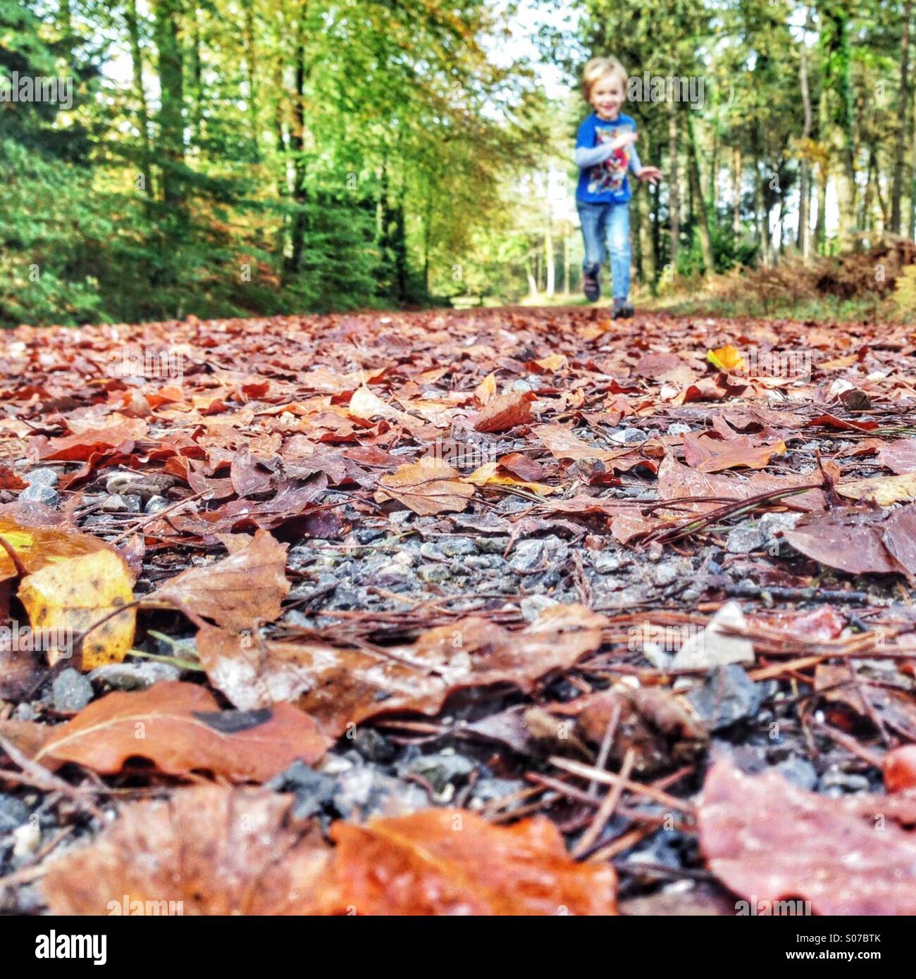Kid running on a leafy path Stock Photo - Alamy