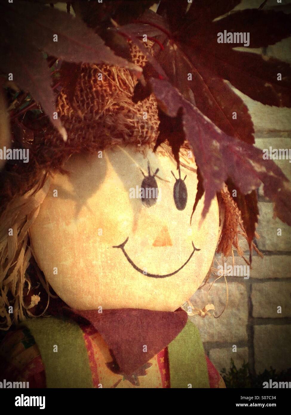 A scarecrow under fall leaves Stock Photo - Alamy