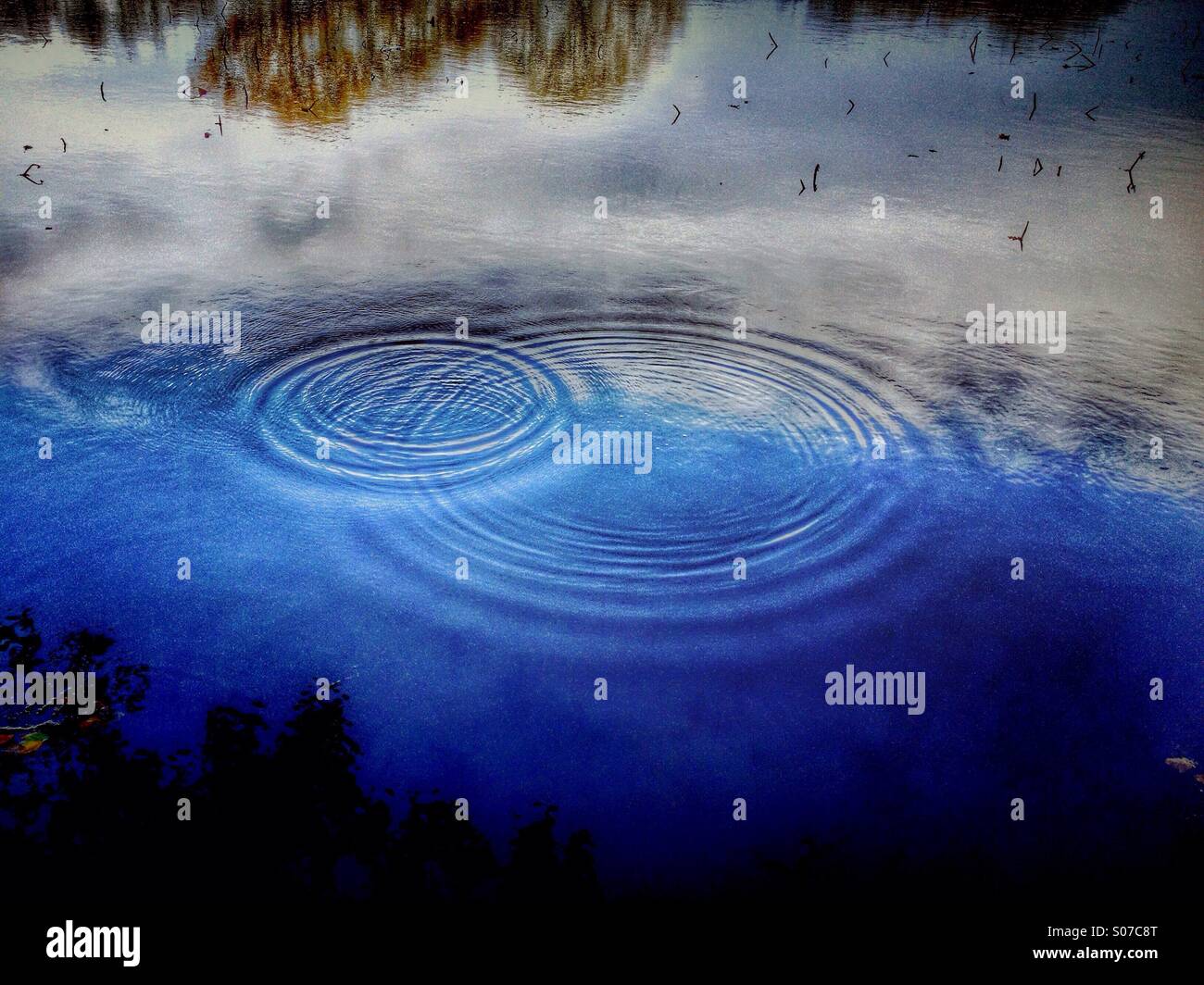 Interlocking circular ripples in pond Stock Photo - Alamy