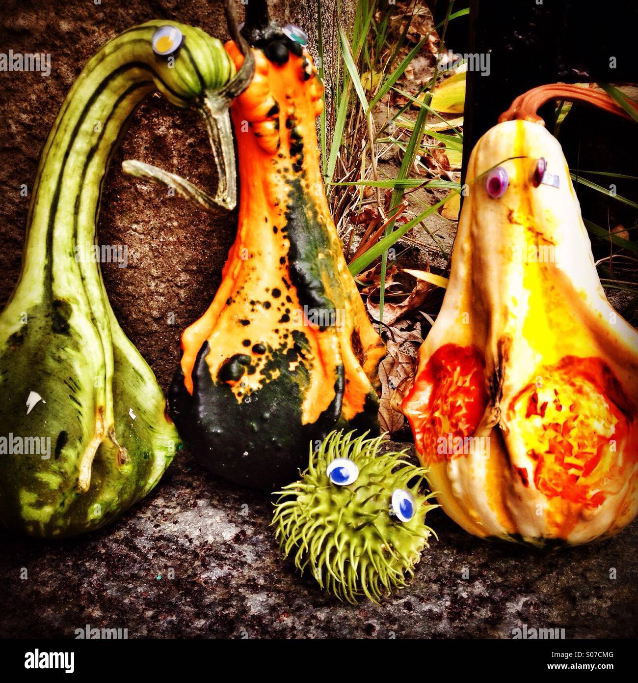 Decorated squash hi-res stock photography and images - Alamy