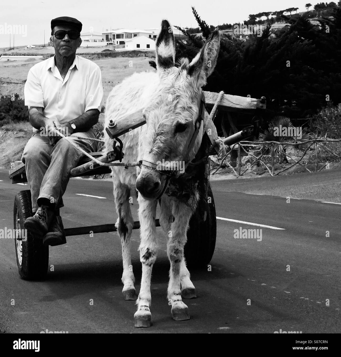 An old Working Donkey with its cart and owner Stock Photo - Alamy