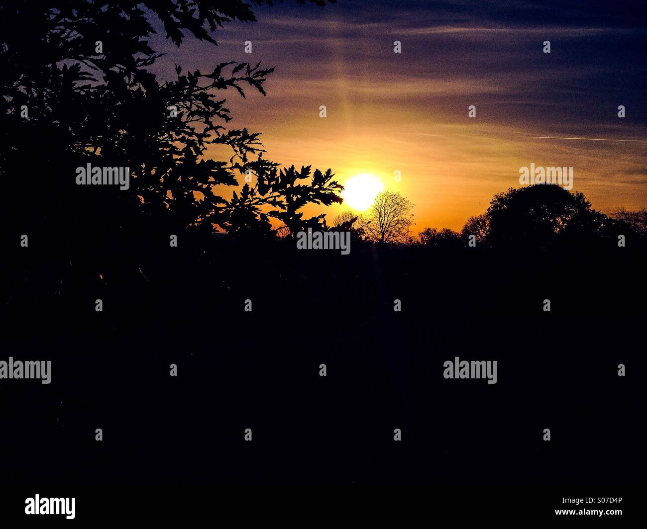 Moody sky with trees hi-res stock photography and images - Alamy
