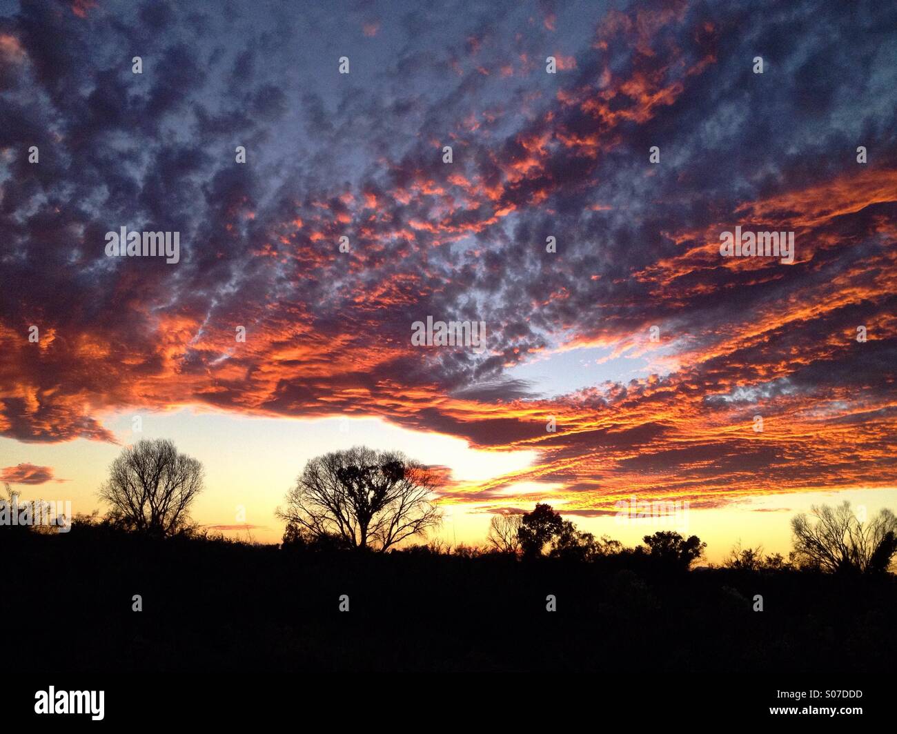 A Sonoran Desert sunset colors the sky Stock Photo - Alamy
