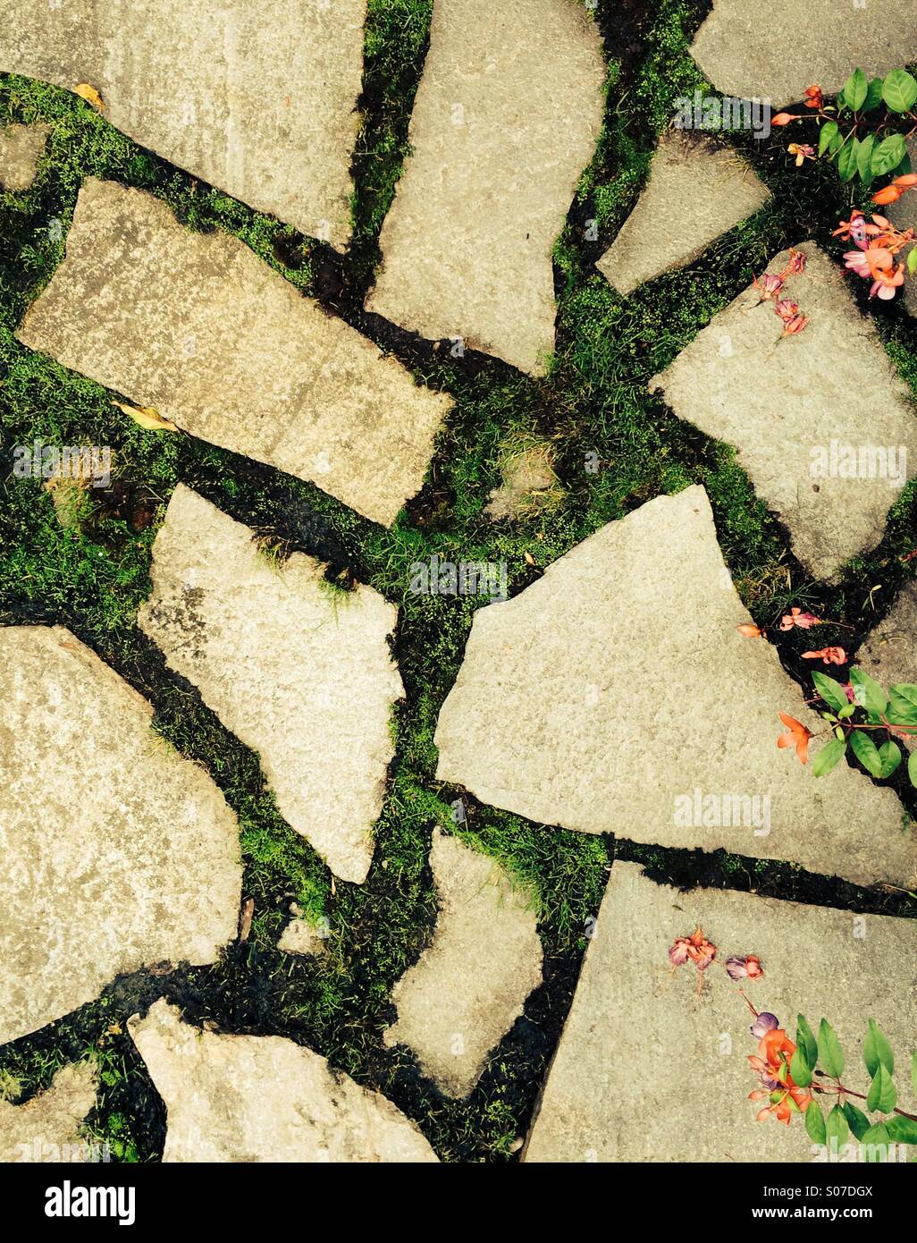 Flagstone path garden hi-res stock photography and images - Alamy