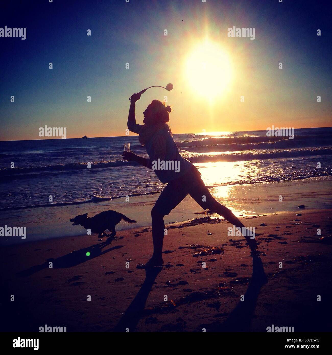 Ball throw dog hi-res stock photography and images - Alamy