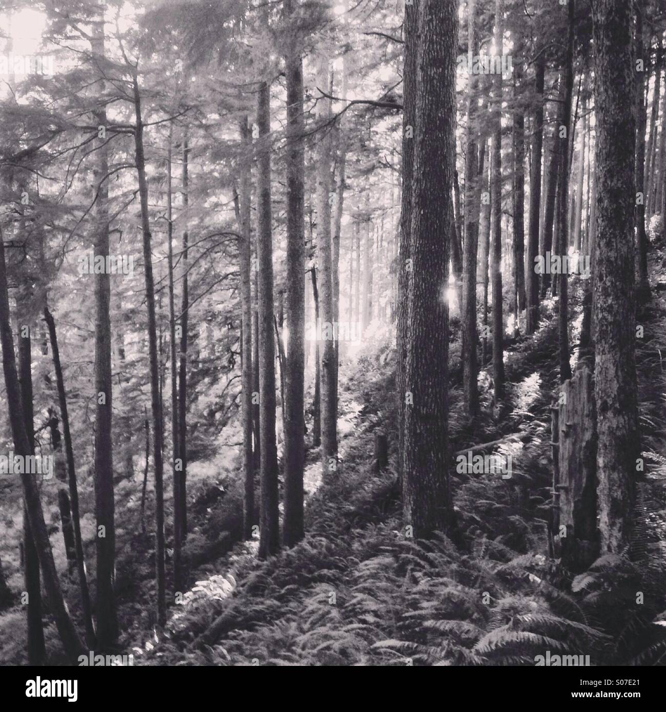 Wop no people coast hi-res stock photography and images - Alamy