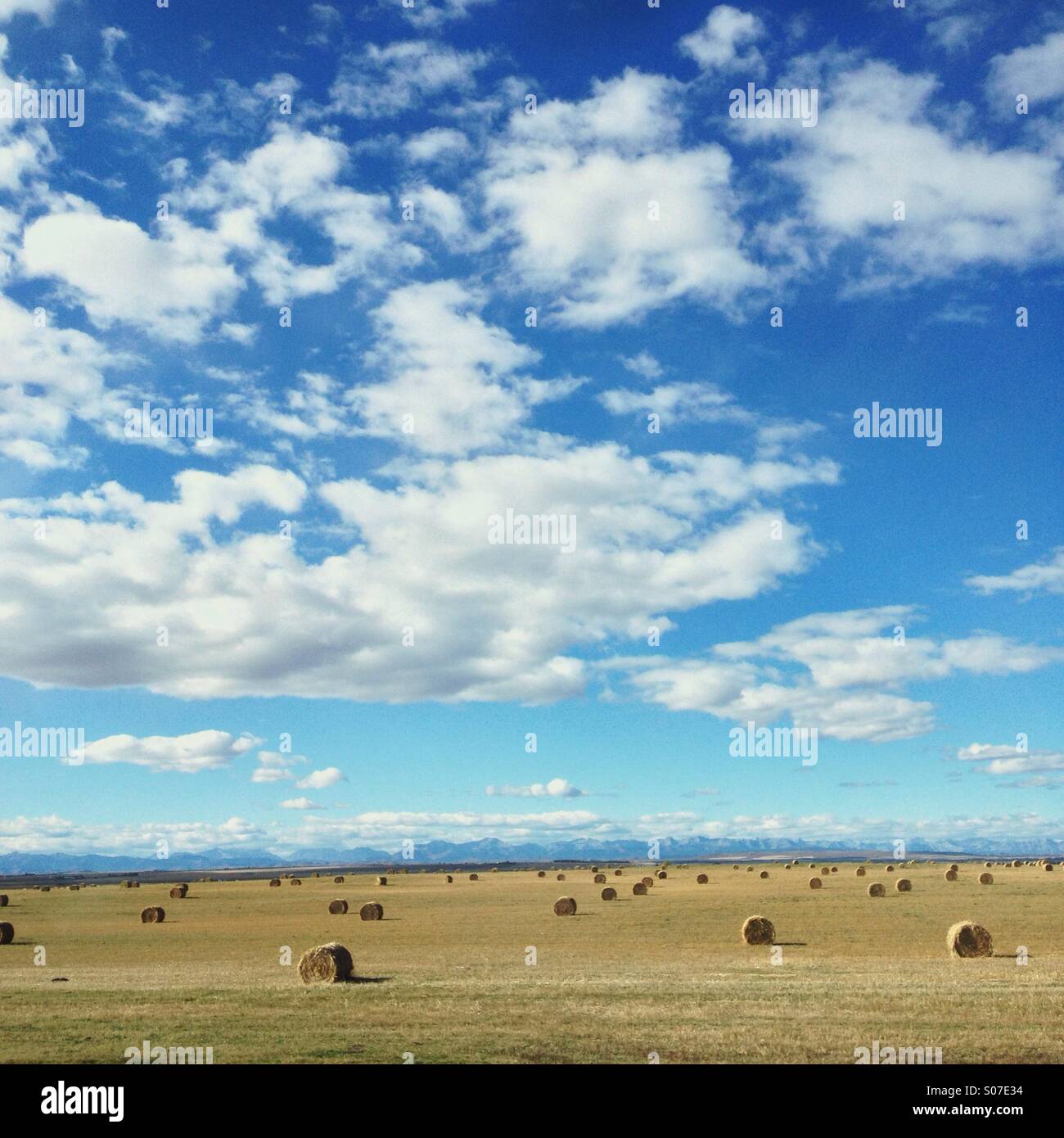 Prairies in alberta hi-res stock photography and images - Alamy