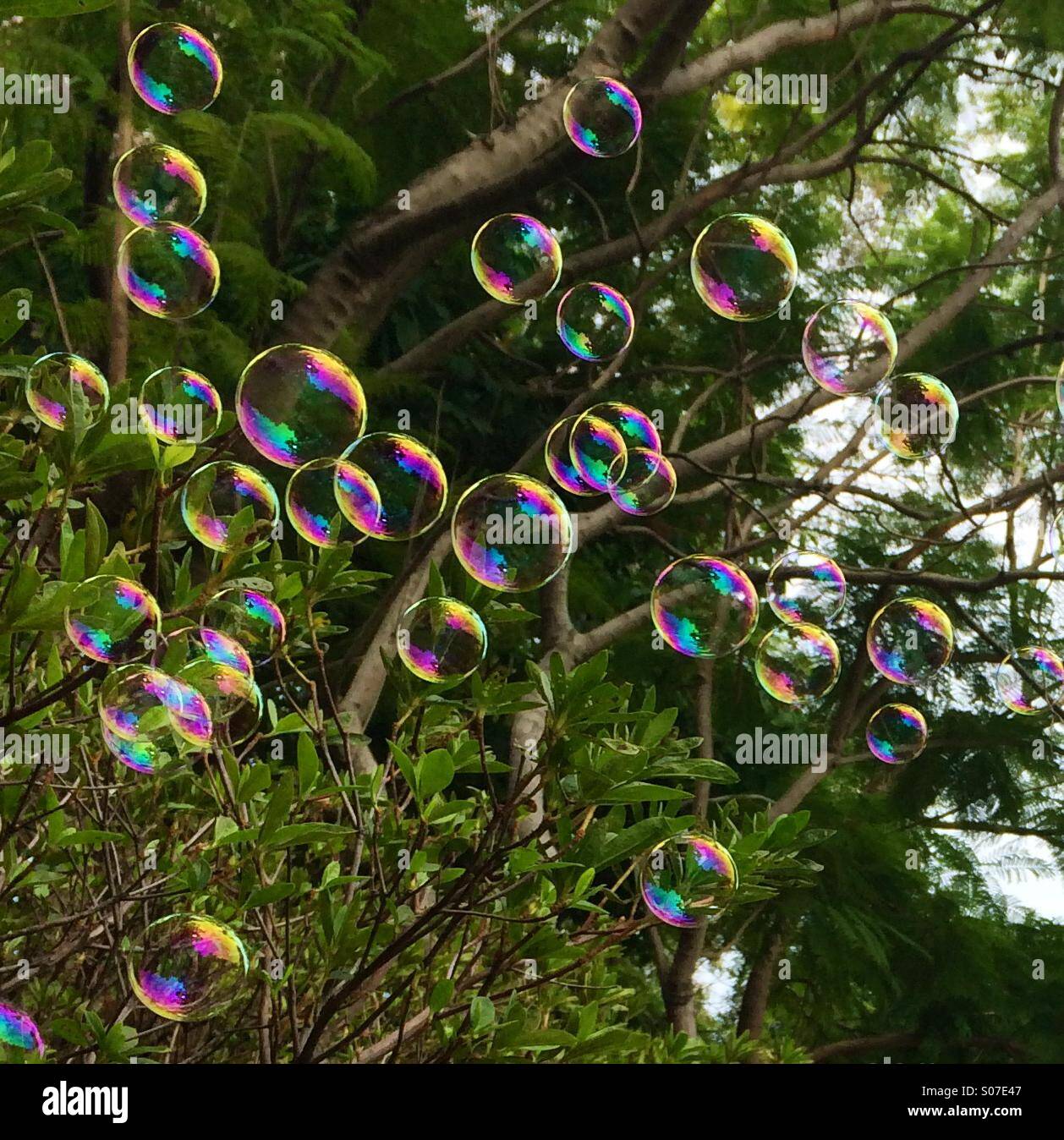 Bubbles and trees Stock Photo - Alamy