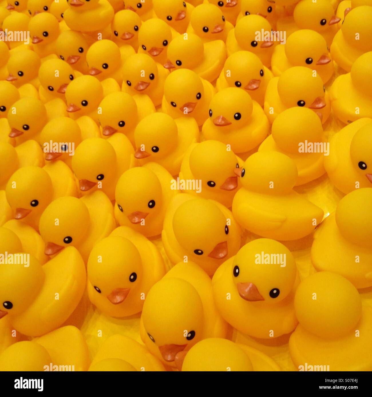 Rubber ducks toys hi-res stock photography and images - Alamy
