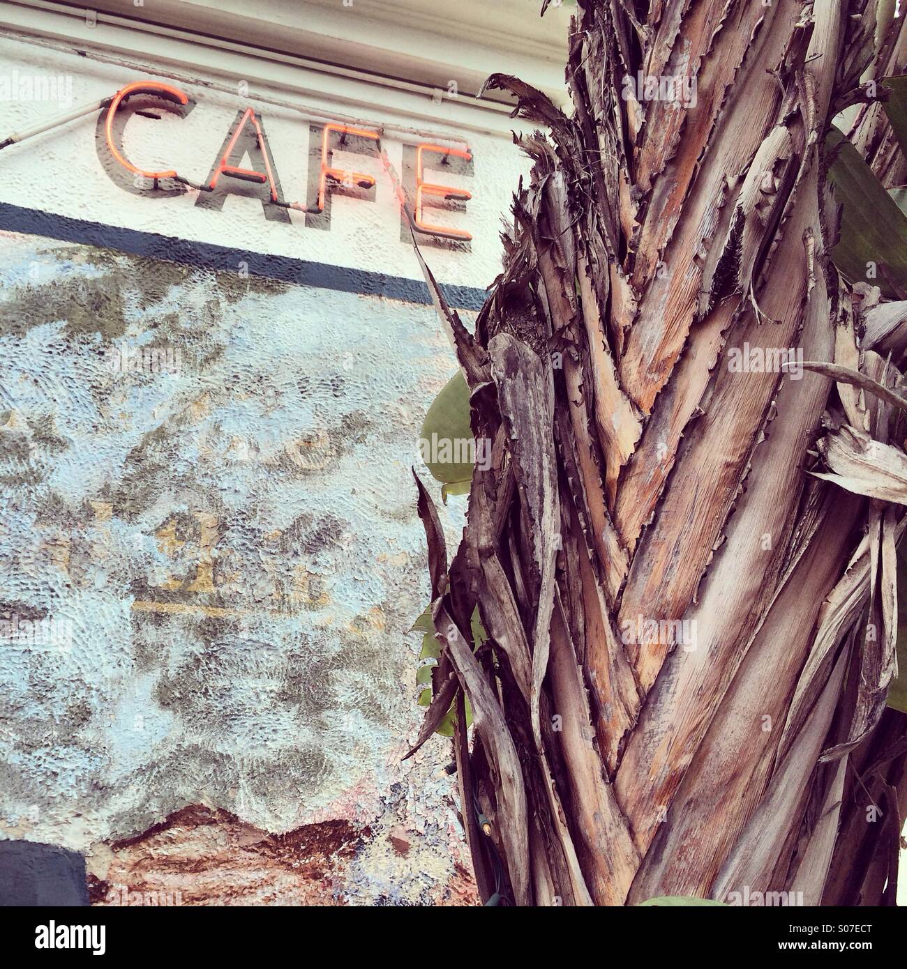Palm tree mural smartphone stock photos and images - Alamy