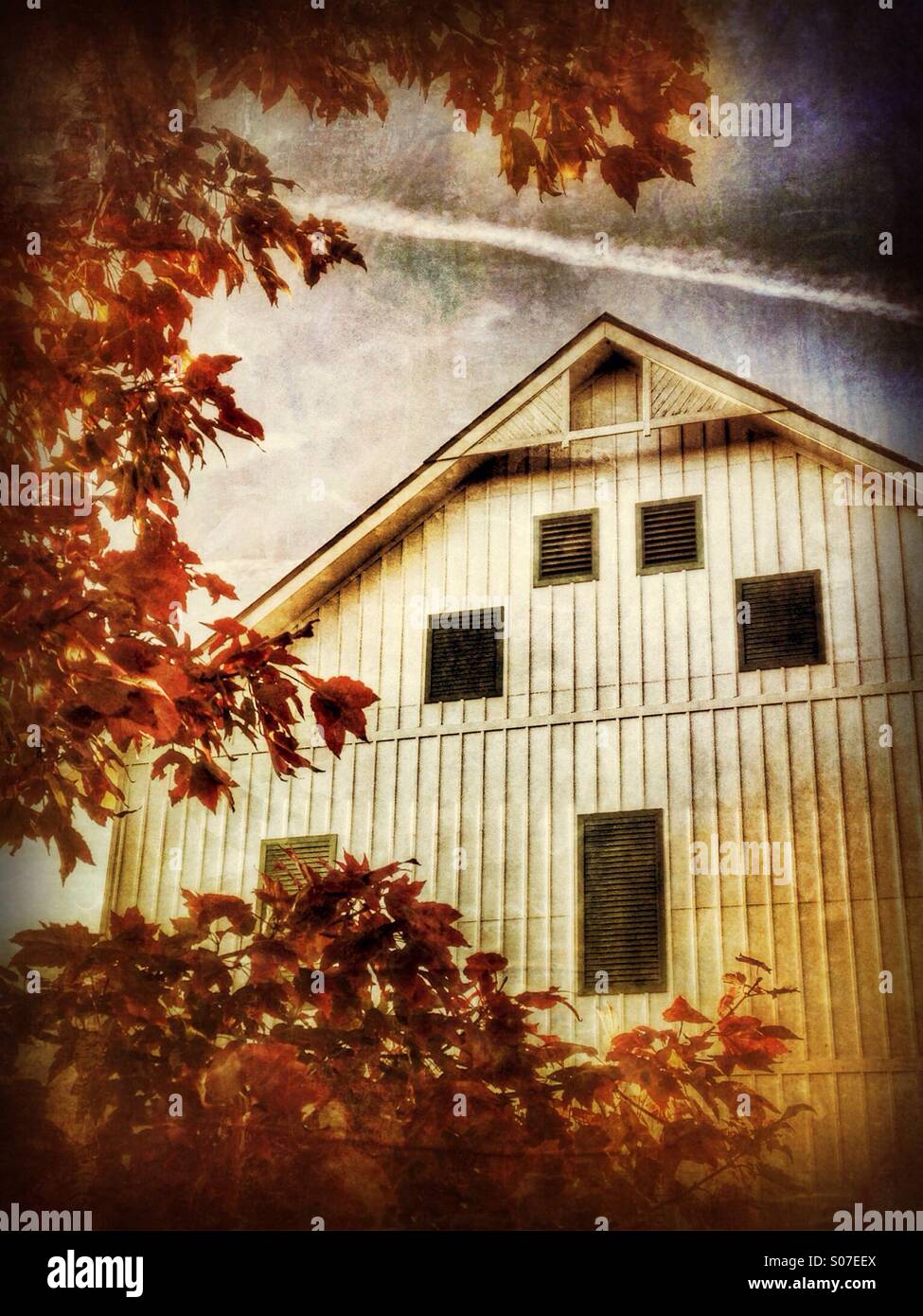 Fall leaves framing a barn Stock Photo - Alamy