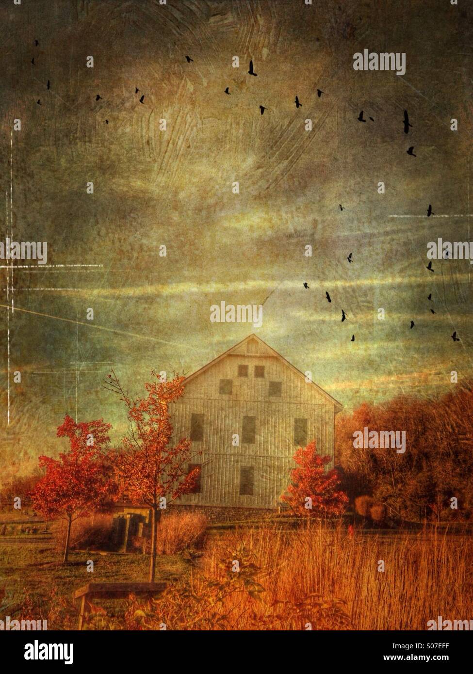 A fall barn scene Stock Photo - Alamy