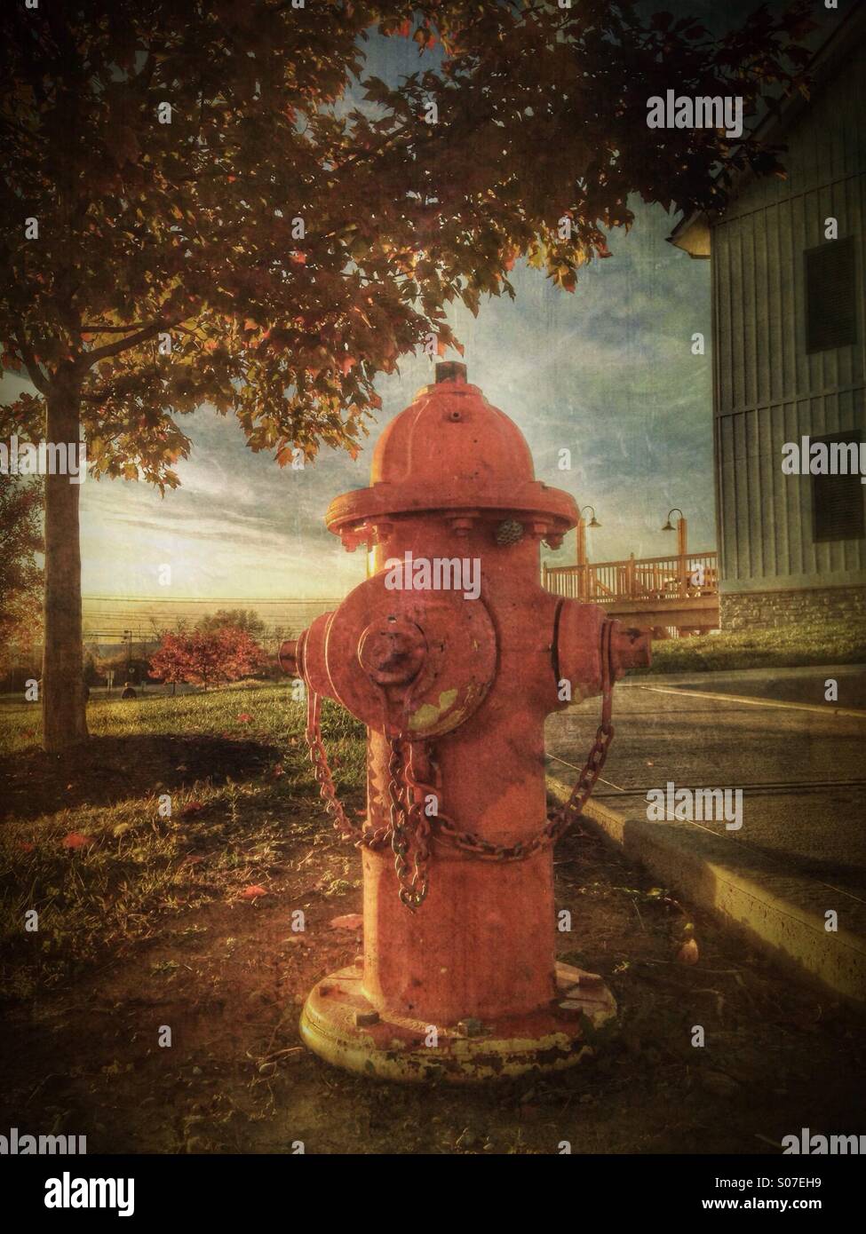 A red fire hydrant Stock Photo - Alamy