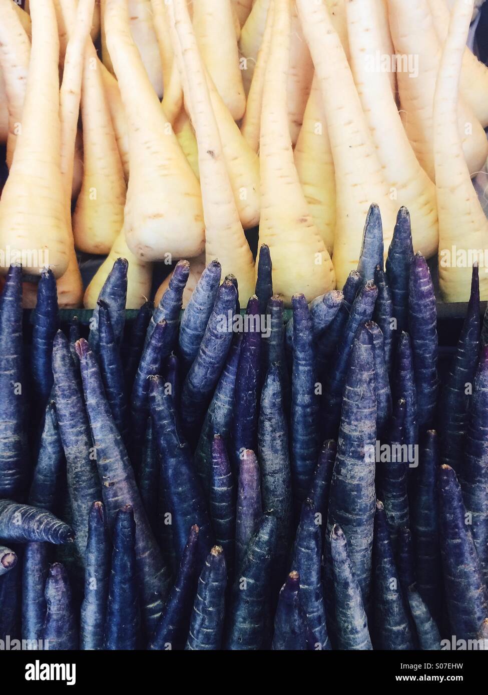 Purple parsnip hi-res stock photography and images - Alamy